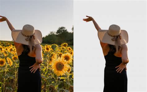 من میتونم دوربری،حذف بک گراند و پس زمینه انجام دهم توسط Nasertrader