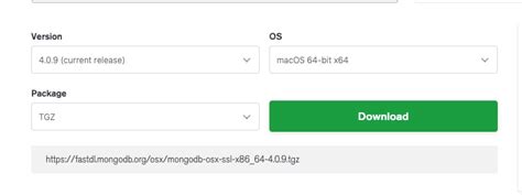 mac osx 平台安装 mongodb 菜鸟教程