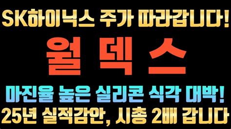 월덱스 주가전망 세력들 4개월만에 쌍끌이 매수 4만원 갑니다 실리콘 식각부문 비중 확대 추가상승 Sk하이닉스 수주