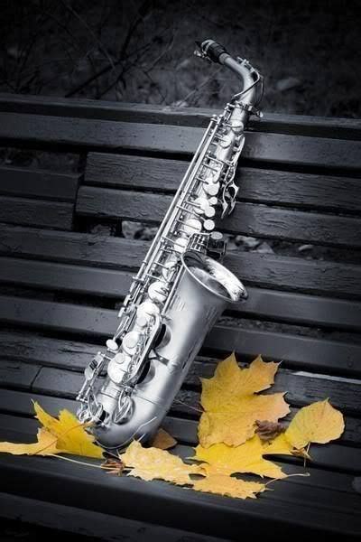 51 Best The Sexy Saxophone Images On Pinterest Saxophones Music And Instrumental