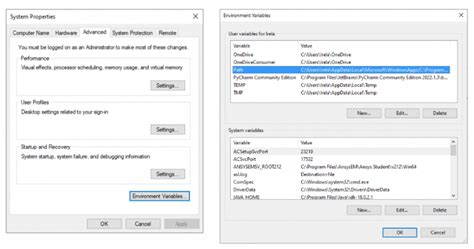 How To Install Dart SDK As Zip File In Windows Nucleio Information Services