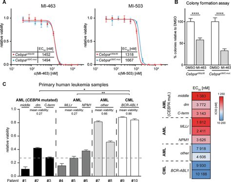 Cebpap30c Mut Cells And Primary Human Aml Cells With Cebpa Mutations Download Scientific