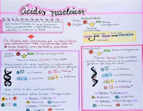 Mapa Mental Sobre Dna E Rna Zuledu