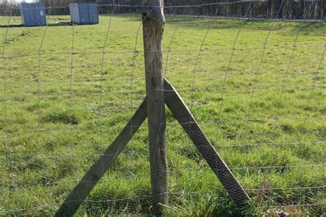 How To Fix Wire Mesh To Posts A Comprehensive Guide The Mesh Company