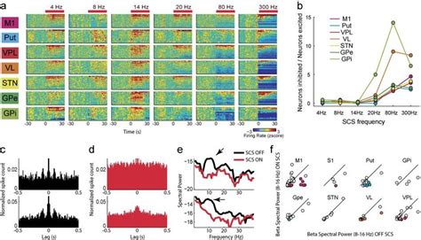 Spinal Cord Stimulation Alters The Firing Rate And Oscillatory Patterns