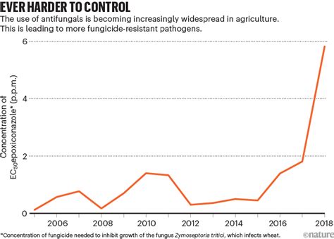Address The Growing Urgency Of Fungal Disease In Crops
