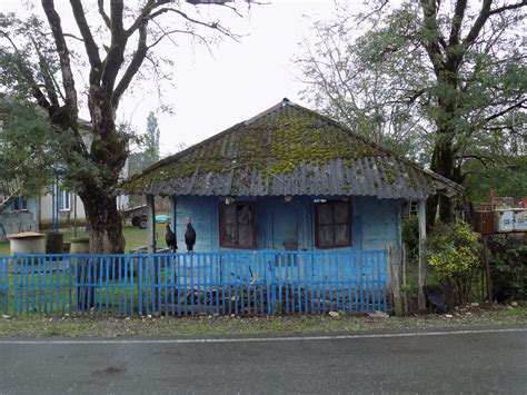 დილა სოფელში Morning In Village Cagu Flickr