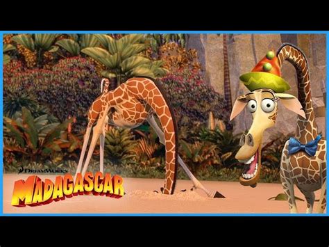 Madagascar 3 Melman Dreamworks Madagascar 3 Europes Most Wanted