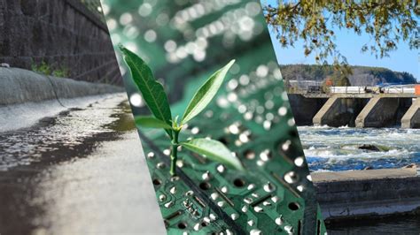 Top 5 Innovative Flood Prevention Strategies Tigernix Australia