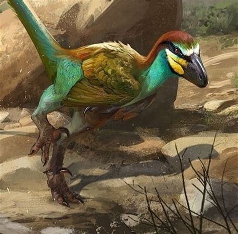 Linheraptor New Species Of Dinosaur Discovered In China Mirror
