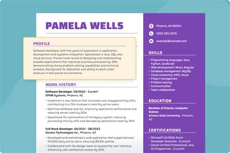 Resume Profile Example Profile Summary For Resume For Babes Sky