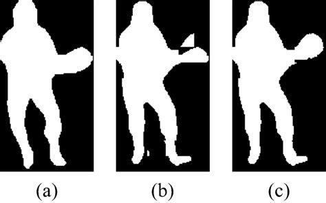 Same Temporal Shape Concealment Process As Fig 3 But With Global Download Scientific Diagram