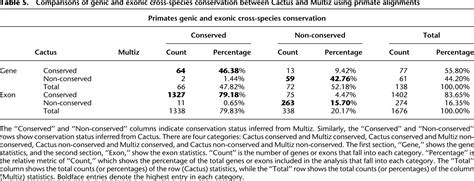 Cactus Algorithms For Genome Multiple Sequence Alignment