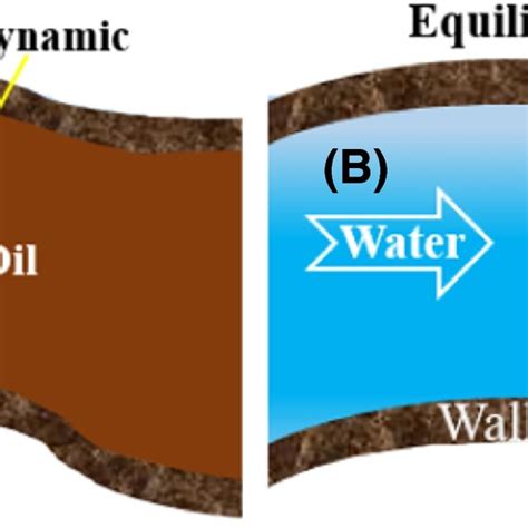 Difference Between The Transient And The Steady Displacement Processes