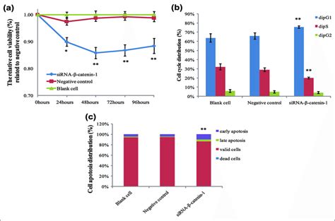Knockdown Of β Catenin Suppressed Keloid Fibroblast Proliferation And Download Scientific