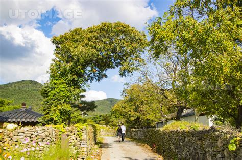 유토이미지 상세페이지 베이직샵 21556800 한국의 전통 민속 마을 돌담길 풍경