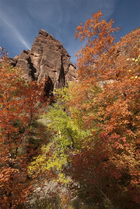 Autumn Colors Autumn Colors And Red Navajo Sandstone Nps … Flickr