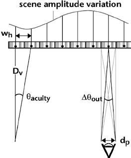 Optimal Spatial And Spectral Sampling For A Human Viewer Download Scientific Diagram