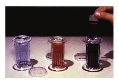 Motility Morphology Staining Fertility Technology Resources