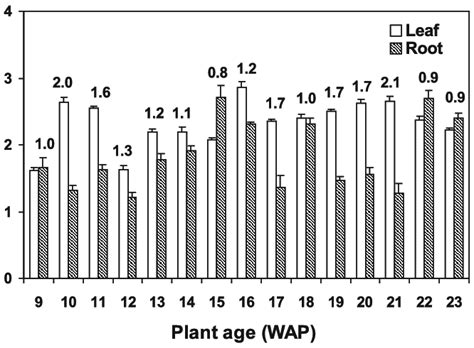 Partitioning Of Nitrate Reductase Activity Nra Between The Recently Download Scientific