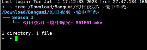 [解析器问题]极影字幕组的幻日夜羽 镜中晖光 解析错误 · issue 375 · estrellaxd auto bangumi