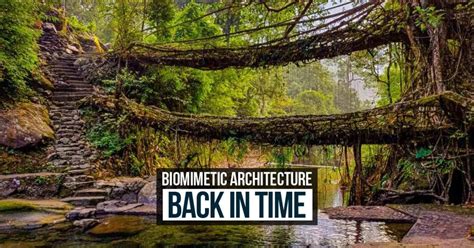 Rethinking The Future On Linkedin Biomimetic Architecture Back In Time