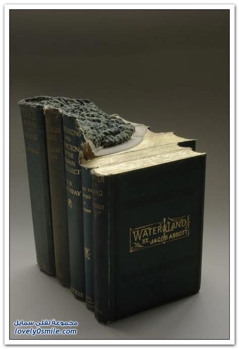 17bm10 Free Image Hosting Service