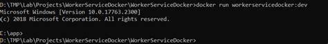C Default Worker Process Does Not Start In Docker Without Debug Mode