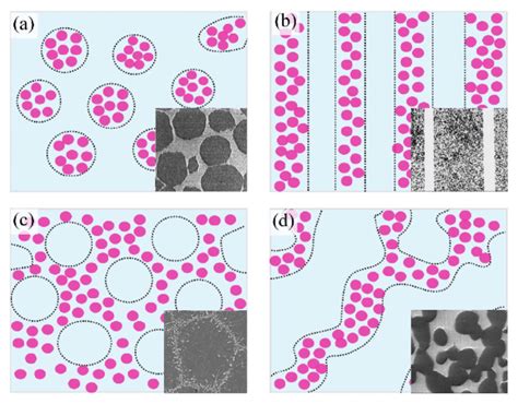 Schematic Illustrations And Representative Sem Images Insets Of Download Scientific Diagram