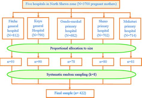 Schematic Presentation Of Sampling Procedure Download Scientific Diagram