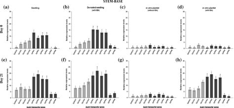 qrt pcr analysis of cpaux1 laxs and cppin genes expression from sb