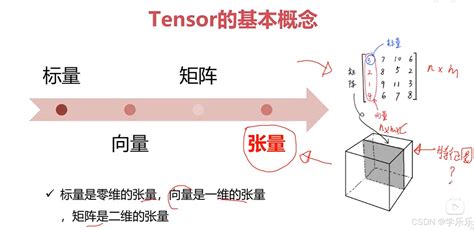 Pytorch学习笔记torcharrange Csdn博客