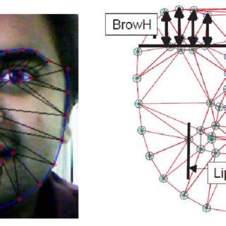 Face Tracker And Feature Extraction From Face Download Scientific Diagram