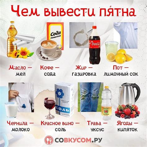 Цікавий світ хімії та біології