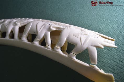 Купить Бивень слона слоновья кость Полый прорезной Стадо слонов крокодил Резьба 79 см 1