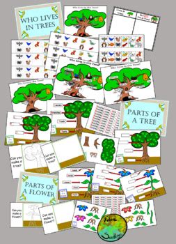 Tree Flower Worksheet Bundle By Future Seedlings TPT