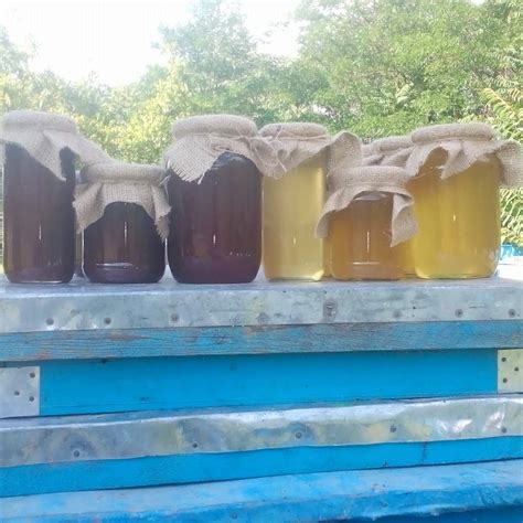 თაფლი სახლში თაფლი სახლში Added A New Photo