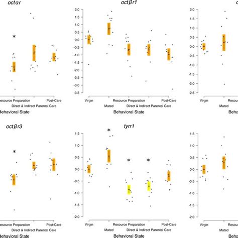 Octopaminergic Receptor Gene Expression Across The Behavioral Download Scientific Diagram