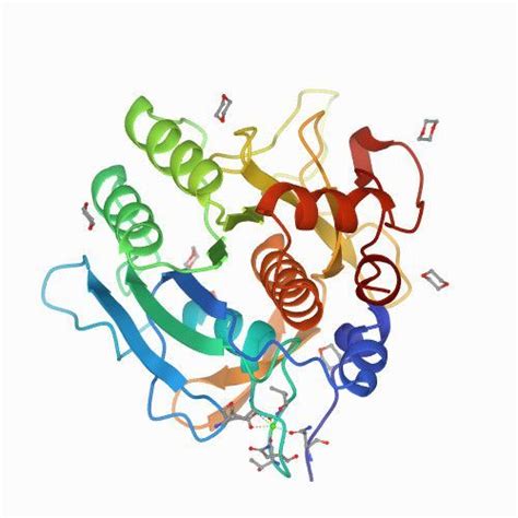 Subtilisin Market Trends Developments Future Prospects And Growth By