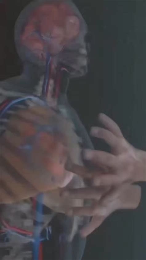 Яаралтай тусламжийн эрэмбэлэн ангилалт 🔵🔴🟡⚪️ Яаралтай тусламжийн эрэмбэлэн ангилалт 2021 оны