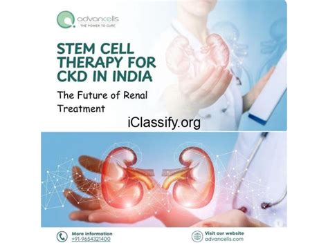 Stem Cell Therapy For Ckd In India The Future Of Renal Treatment Noida