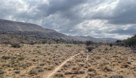 Djibouti Day Forest National Park Day Forest National Park National
