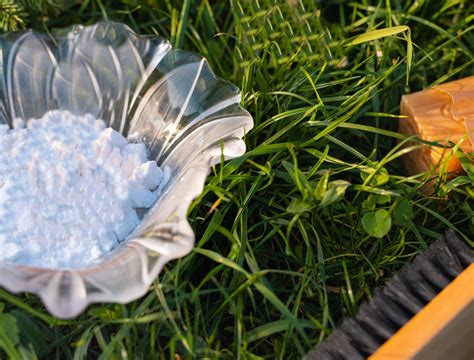 Baking Soda Can Do A Lot For Your Lawn