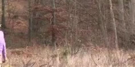 Moose Hunting Älgjakten Swedish Disc 12