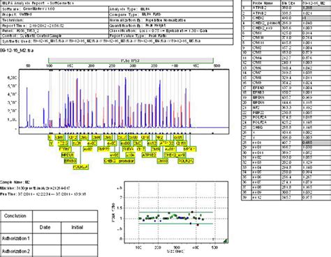 the multiplex ligation dependent probe amplification mlpa data shows