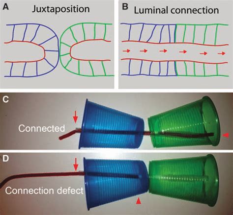 Assembly Of The Model For The Identify The Defect Activity A B Download Scientific