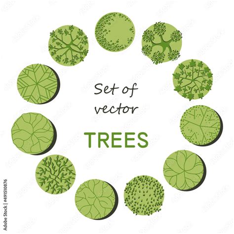 Trees For The Master Plan Tree For Architectural Floor Plans Entourage Design Various Trees