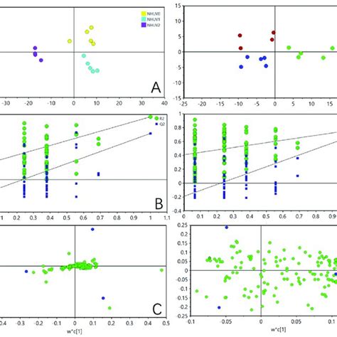 Scores Plot A D Permutation Tests B E Loadings Plot C F Of High Download Scientific