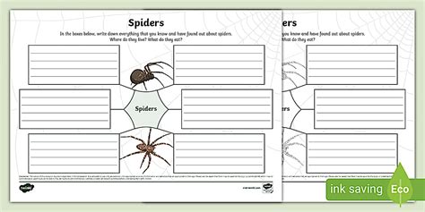 Spider Mind Map Teacher Made Twinkl