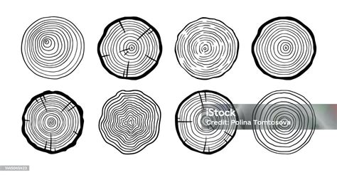 나무 반지 나무 서클 세트 손으로 그린 나무 반지 패턴 선 잔물결 원 나무 질감 나무 유기 슬라이스 라인 디자인 벡터 나이테에 대한 스톡 벡터 아트 및 기타 이미지 Istock